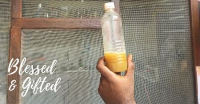 Ultimate Guide to Jamaican Drinks (33 ways to quench your thirst like a ...